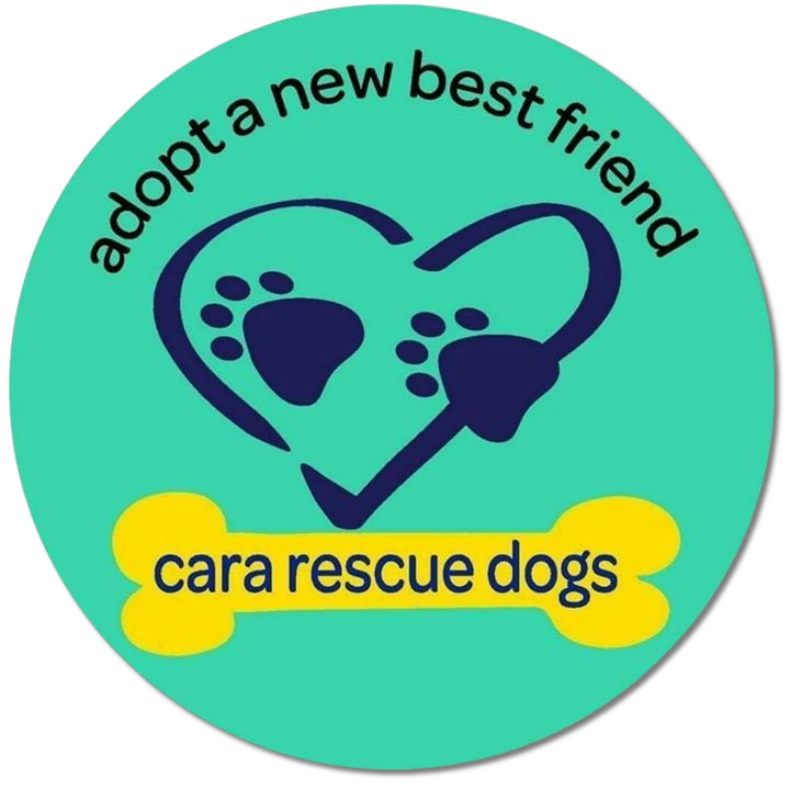 Aggie | Cara Rescue Dogs